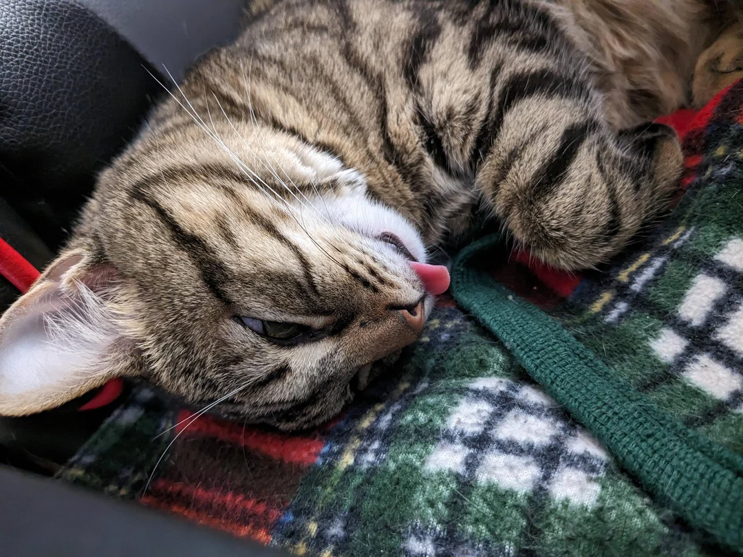 Believe it or not, but she's actually sleeping | Scrolller