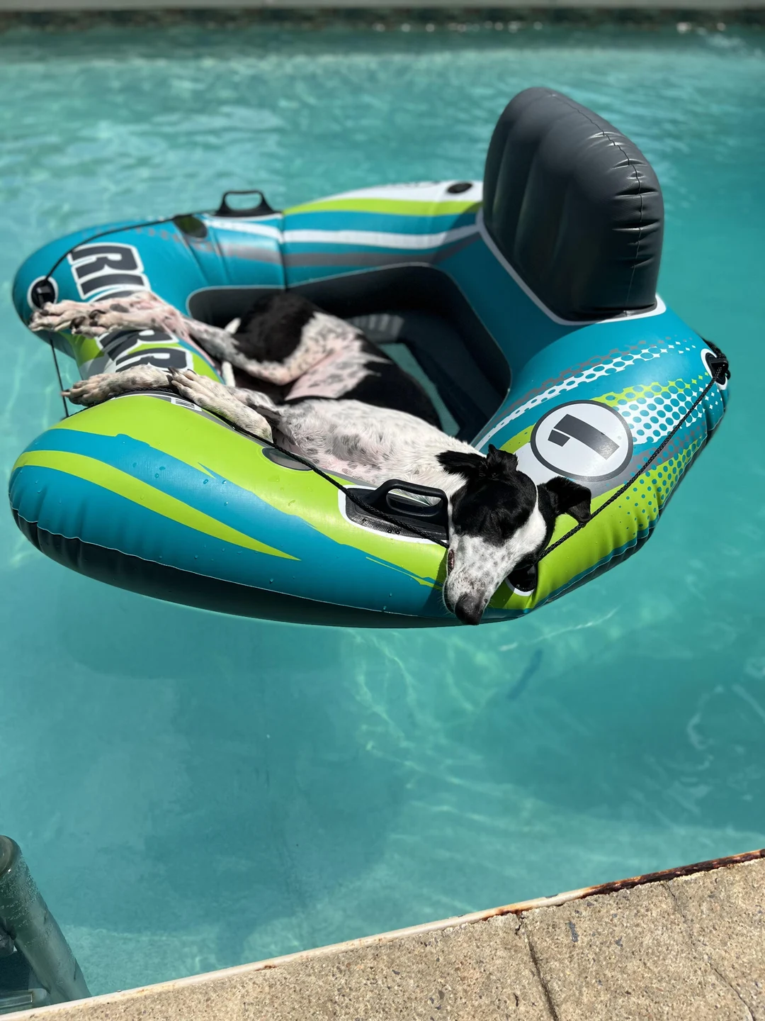 Big chilling | Scrolller