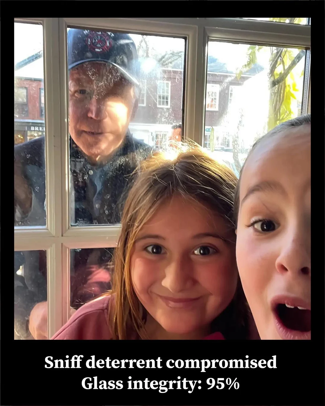 Deploy the Gorilla Glass | Scrolller