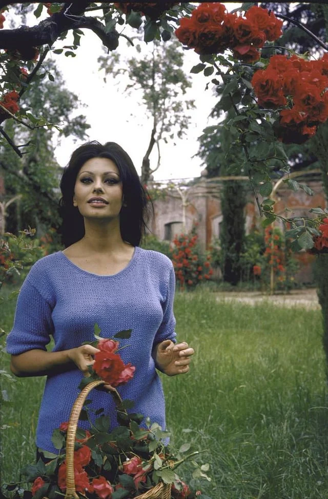 Italian actress Sofia Loren | Scrolller