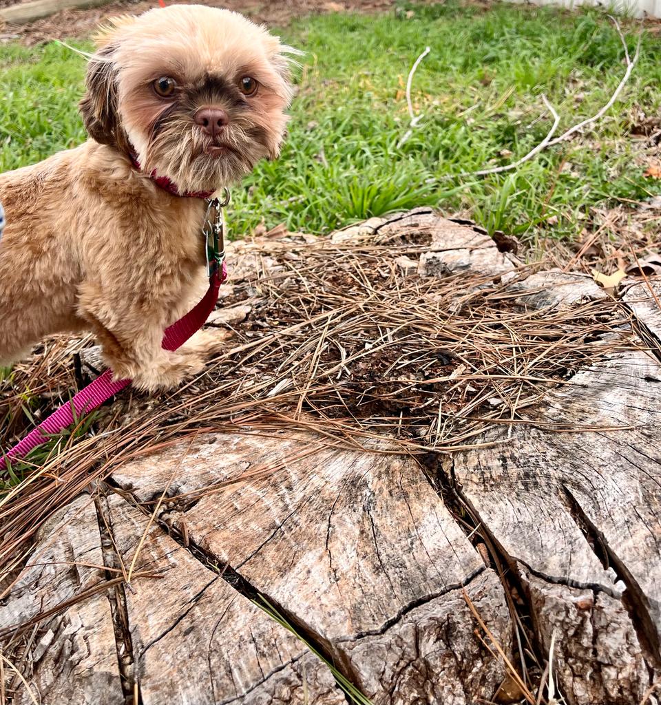 Exploring! | Scrolller