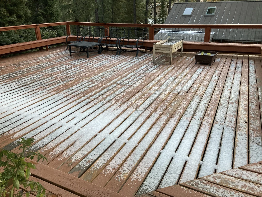 First Snow | Scrolller