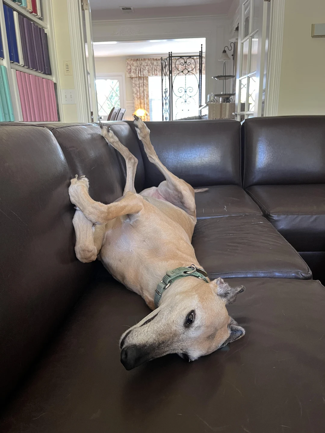 Upside down | Scrolller