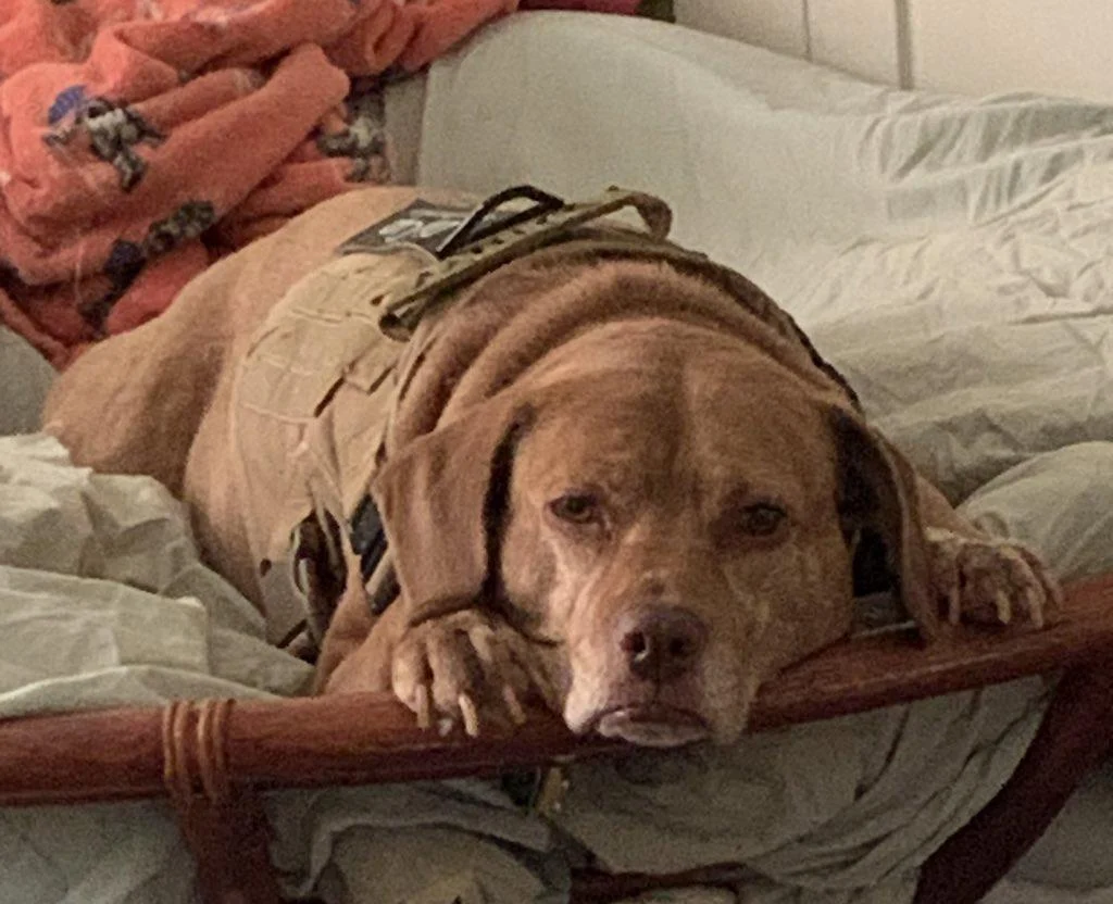 Grumpy face | Scrolller