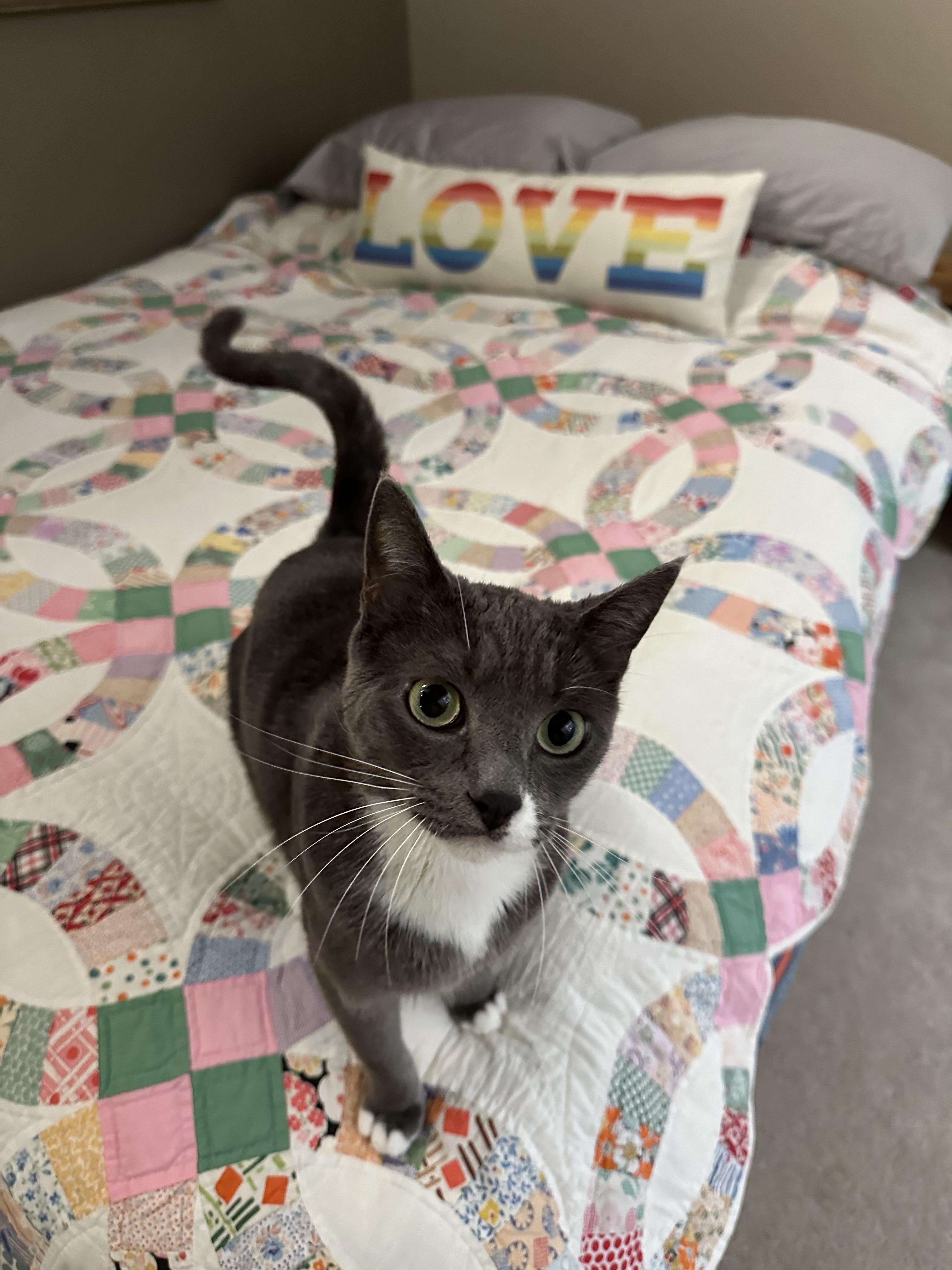 Leo looking lovely | Scrolller