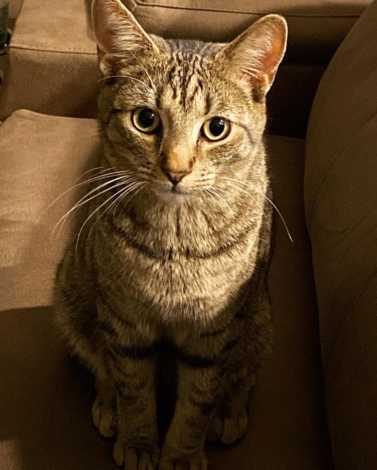 He looks so polite | Scrolller