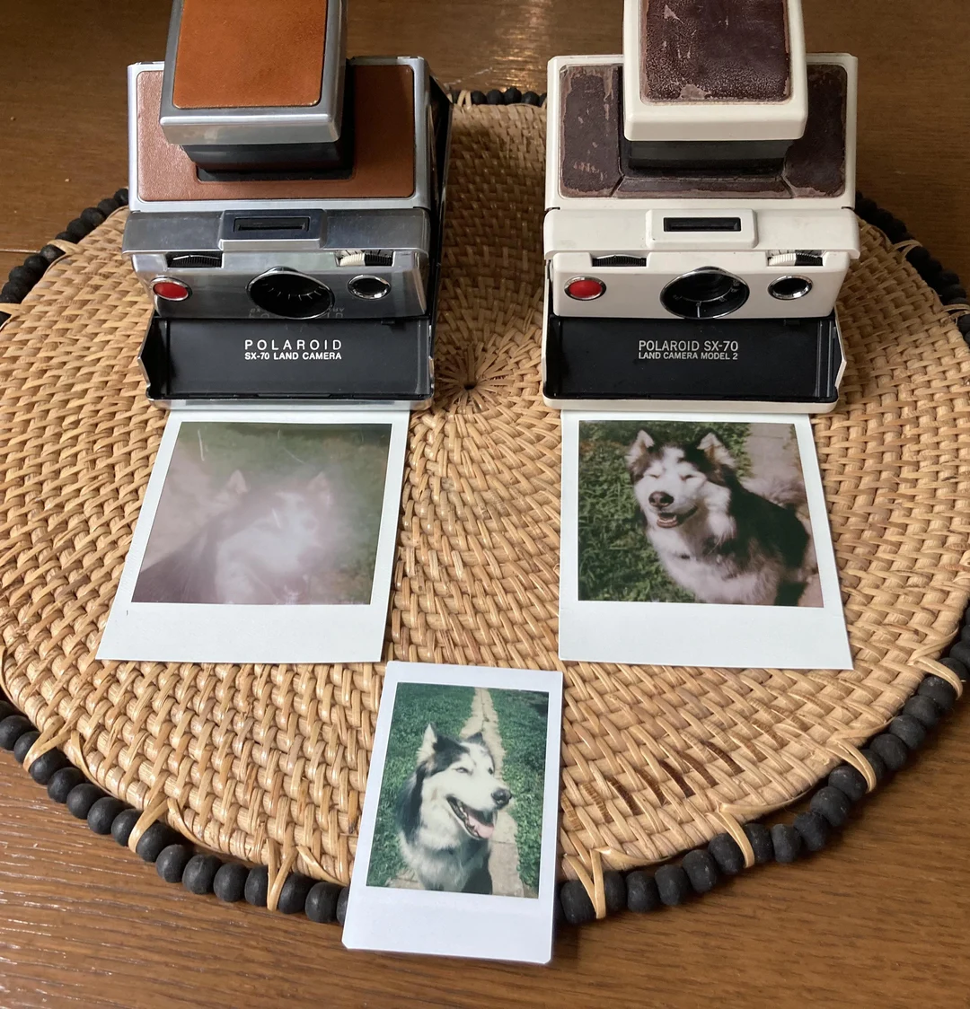 UPDATE: “Rediscovering my two SX-70s from when I was a teenager and looking for advice” | Scrolller
