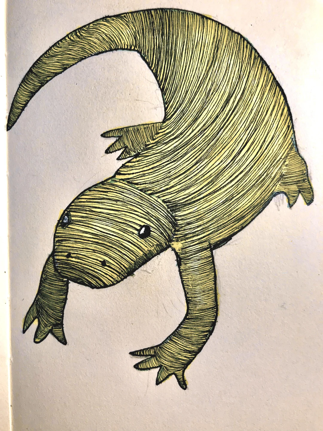 Discover more like UnusualArt: Salamander and Related Content | Scrolller