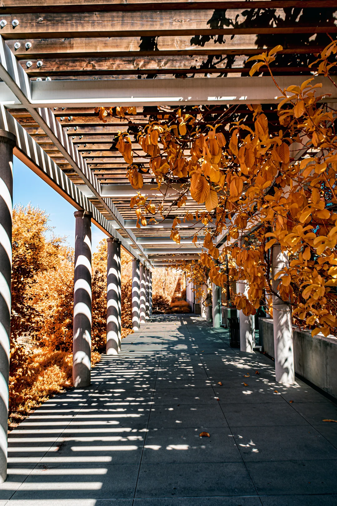 Light and Shadow | Scrolller