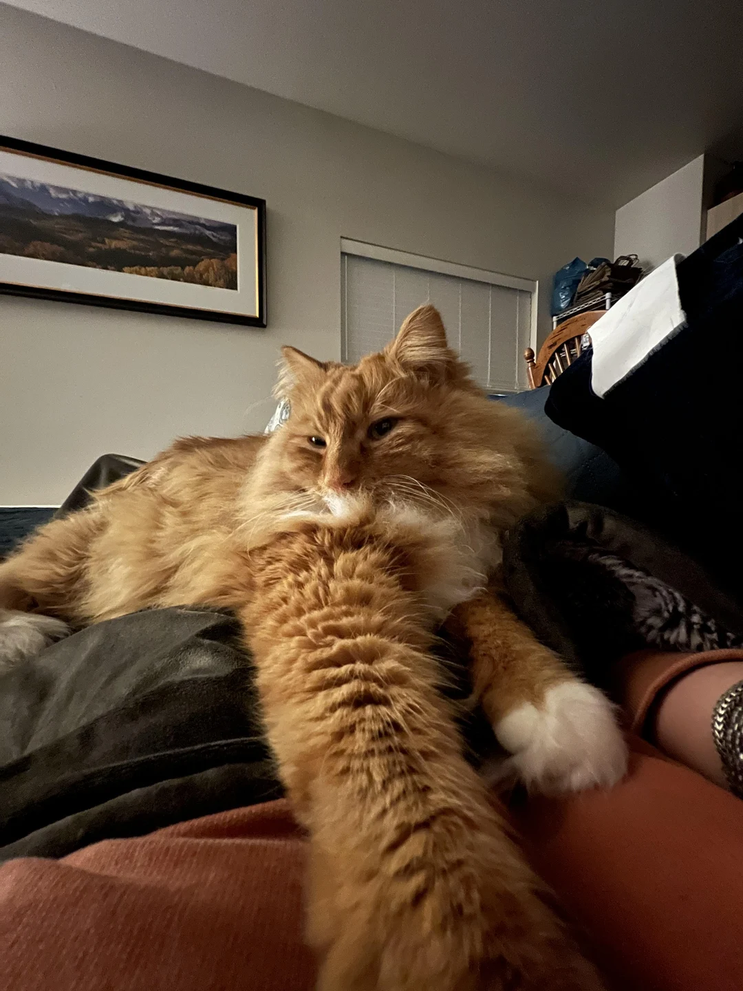 Oh yeah, just vibin | Scrolller