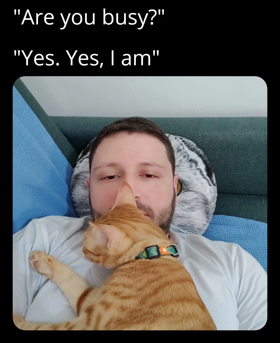 Extremely busy | Scrolller