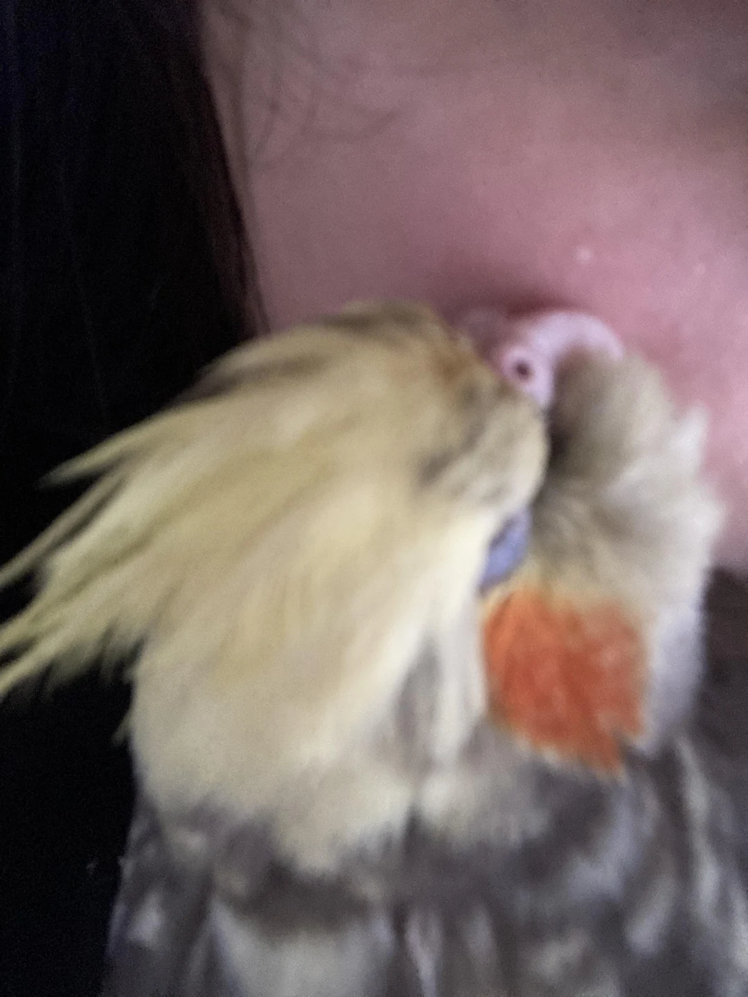 Bro is using my face as a pillow | Scrolller