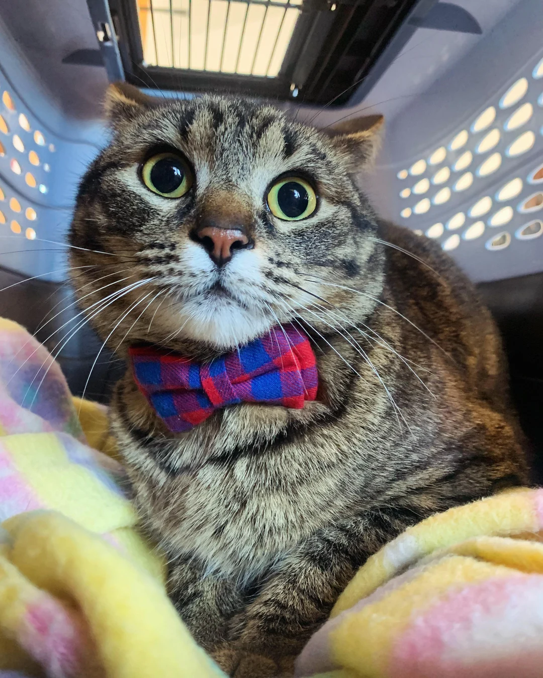 Getting his shots | Scrolller