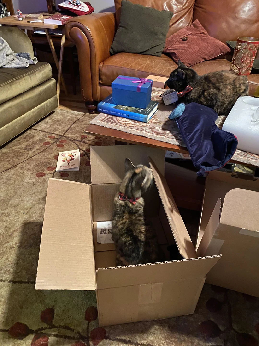 Her present | Scrolller