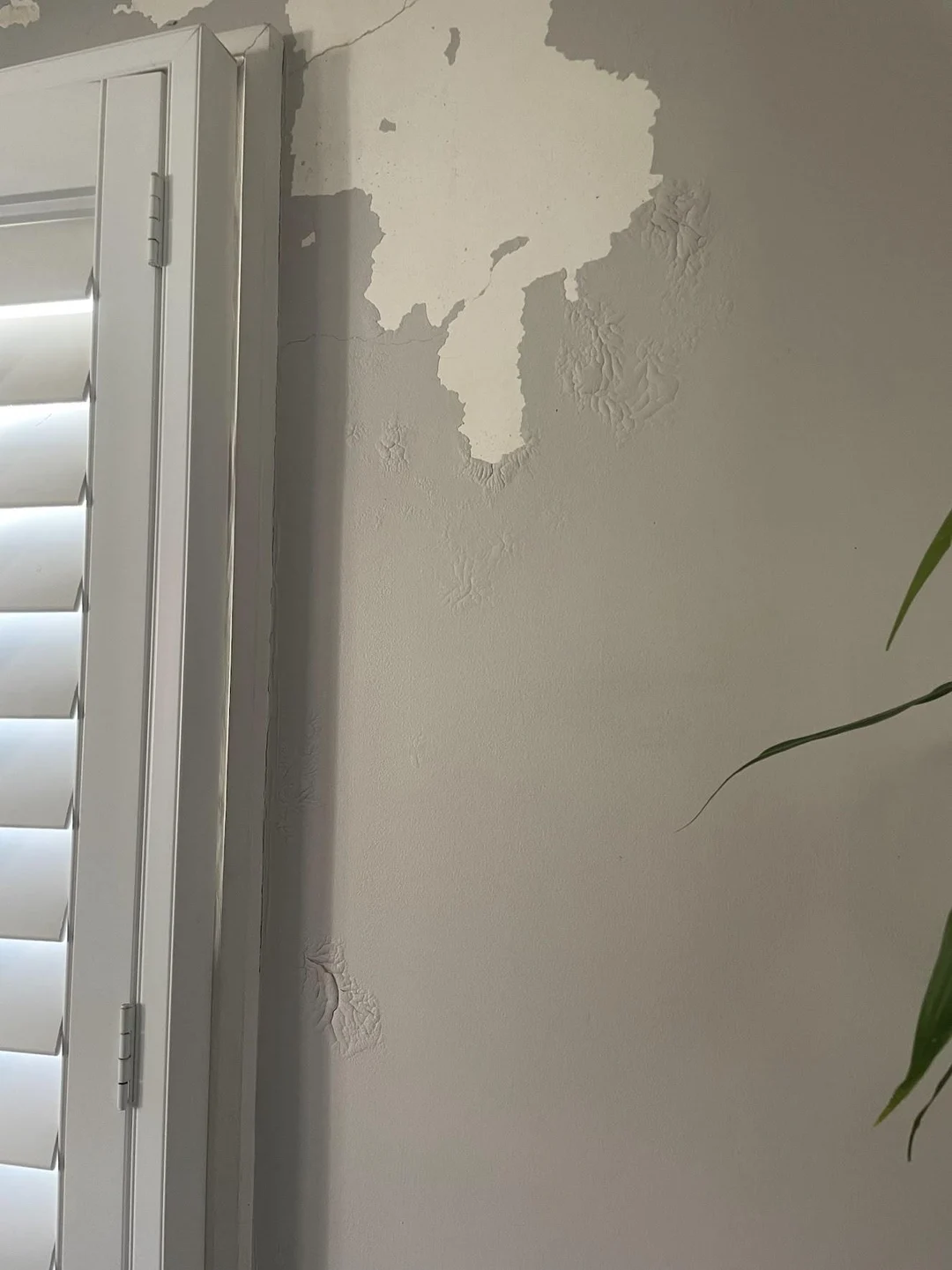 Water damage to room corner with plaster walls, fix myself or call in ...