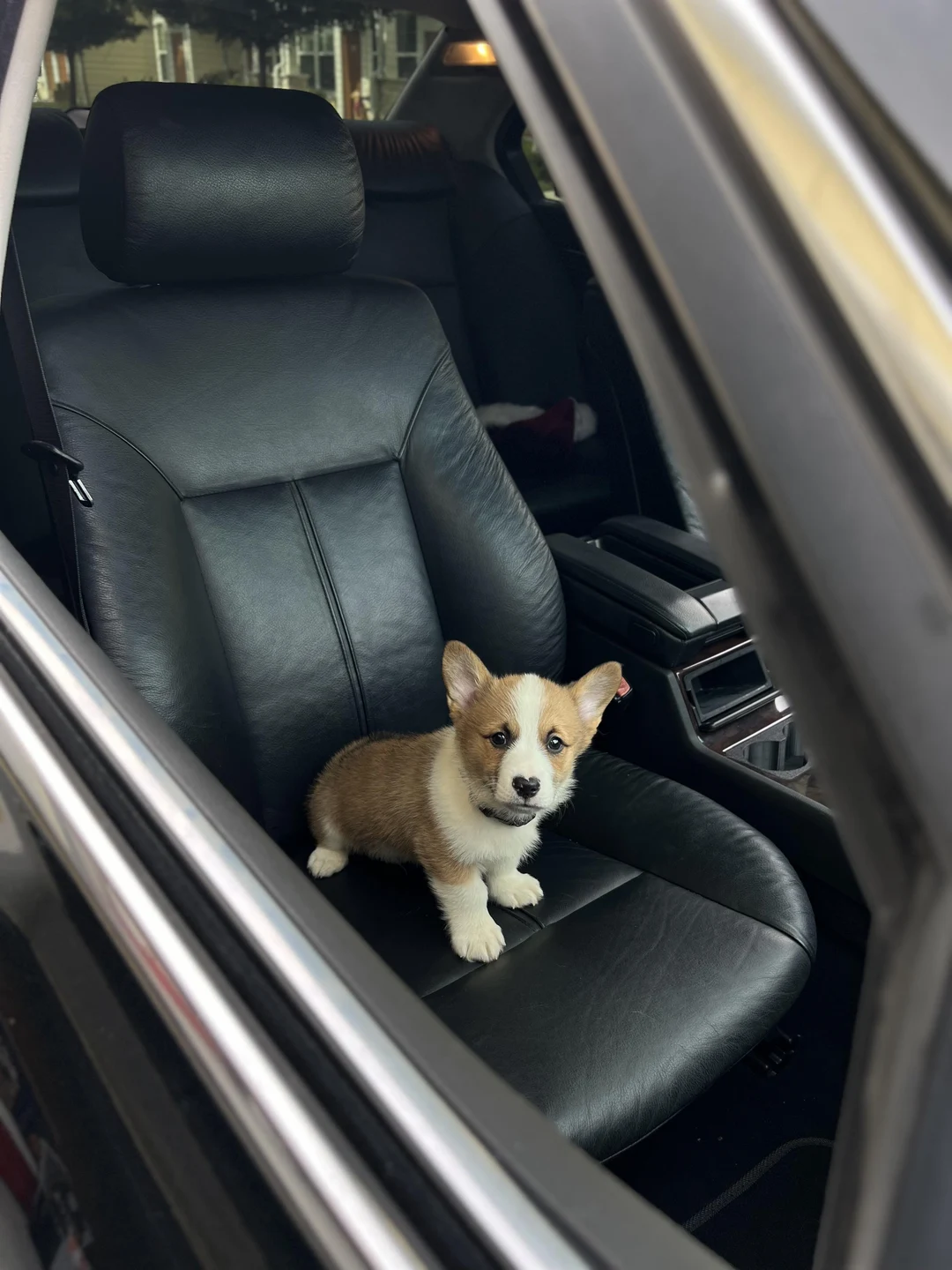 My new E38 co-pilot | Scrolller