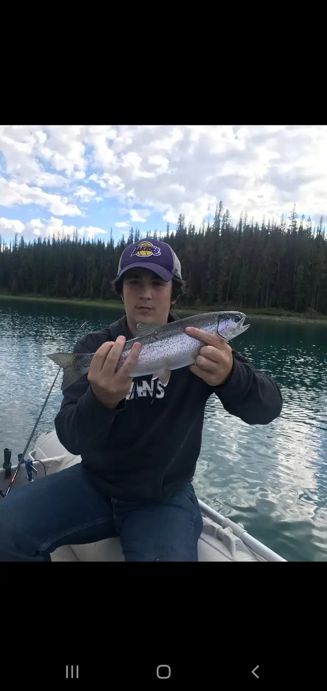 nice rainbow on fly rod great year for fly fishing | Scrolller