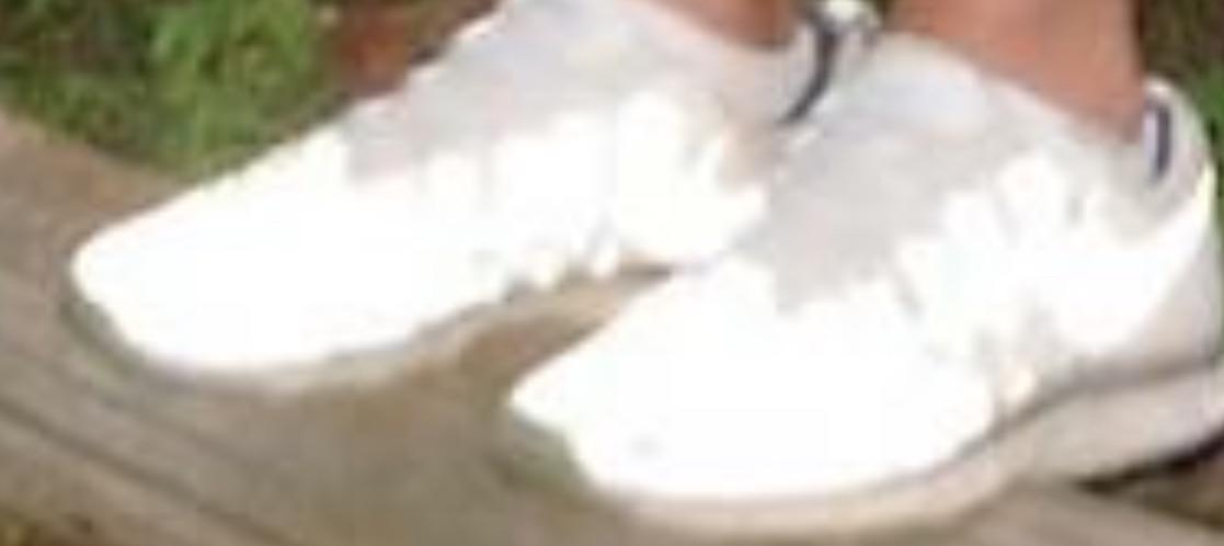 Help Identifying | Scrolller