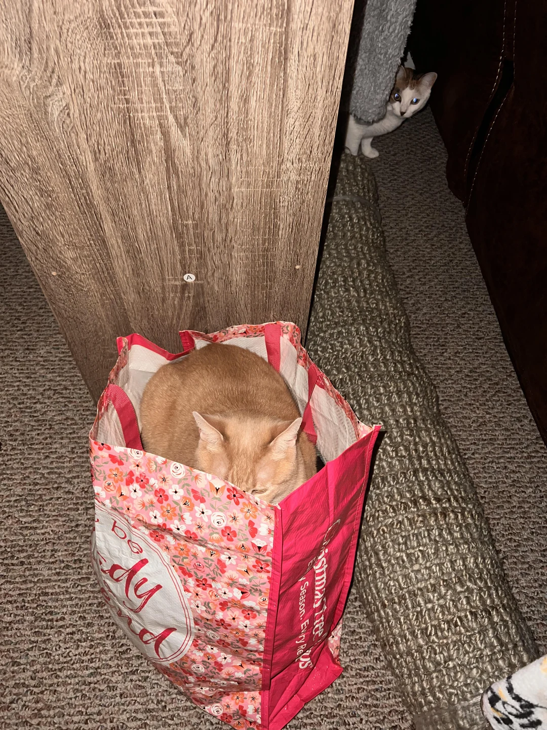 mission successful | Scrolller