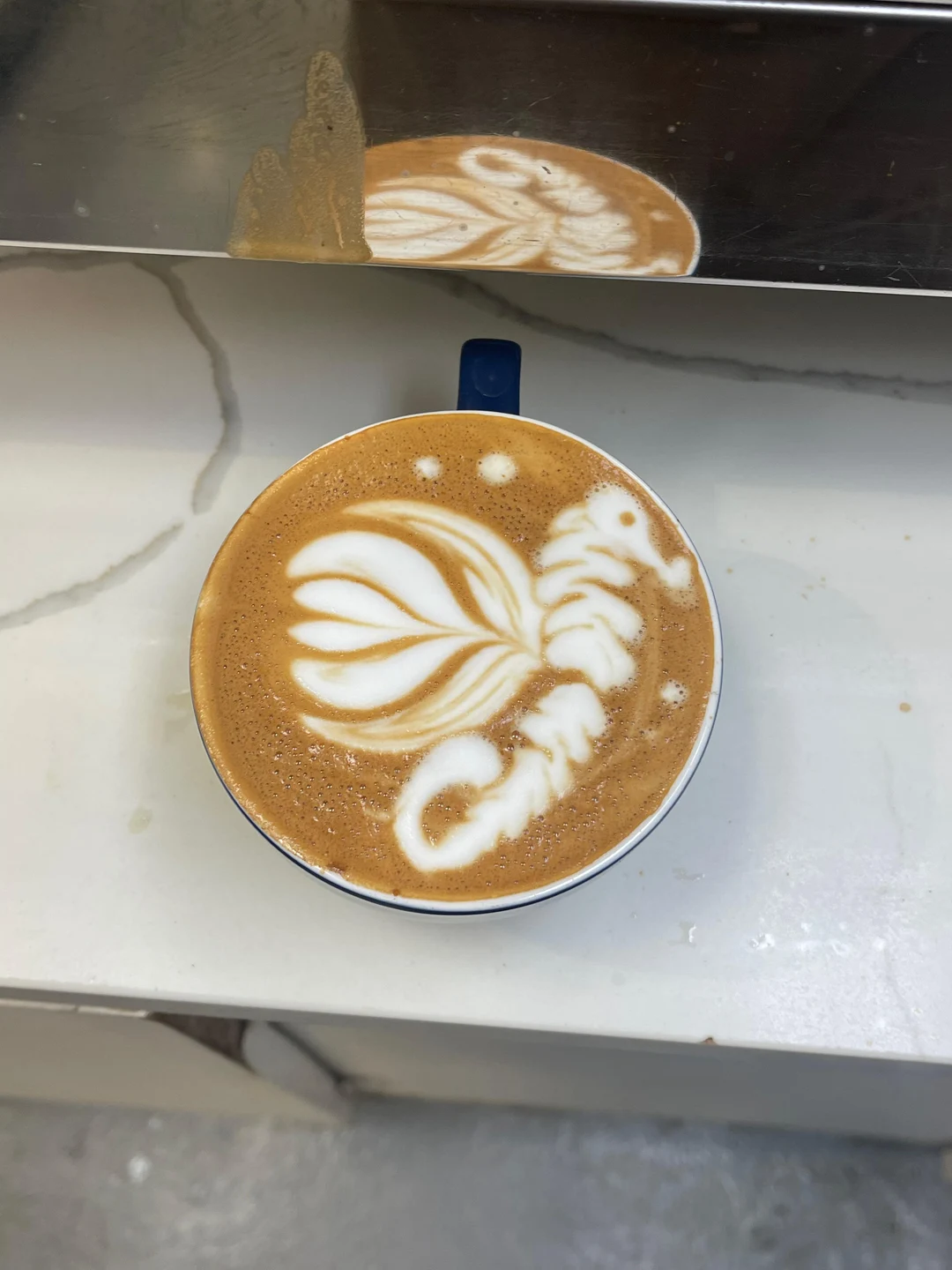 First seahorse attempt | Scrolller