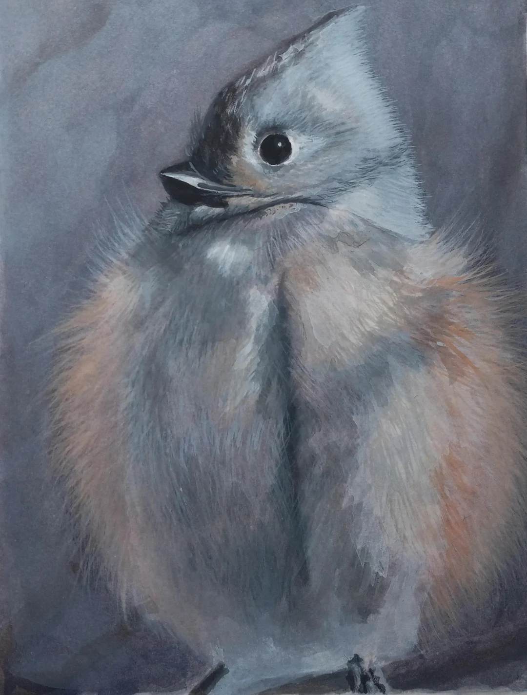 [OC] Floofie Borb | Scrolller