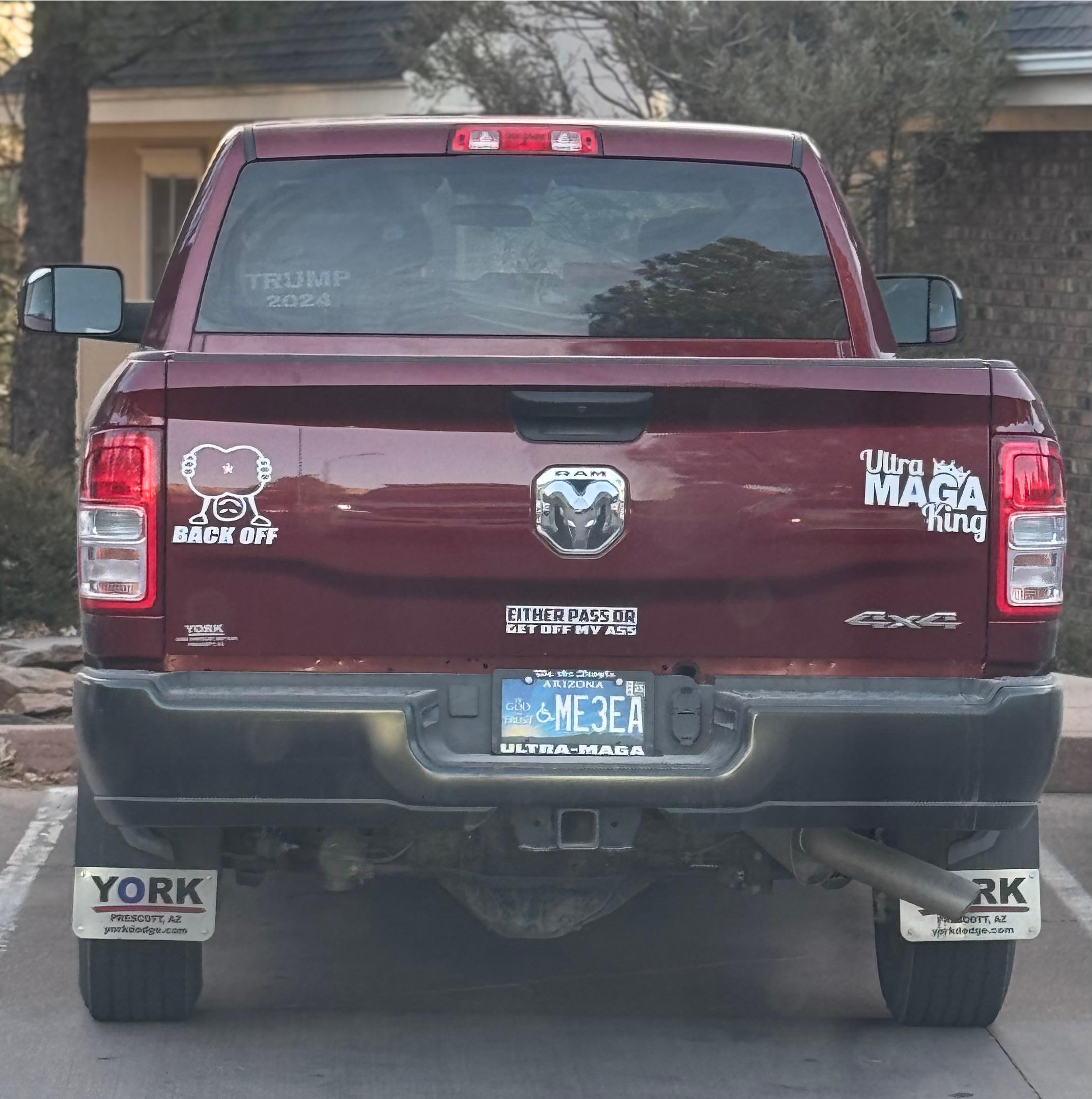 Totally normal behavior for a well adjusted adult. | Scrolller