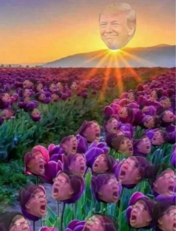 Reddit status | Scrolller