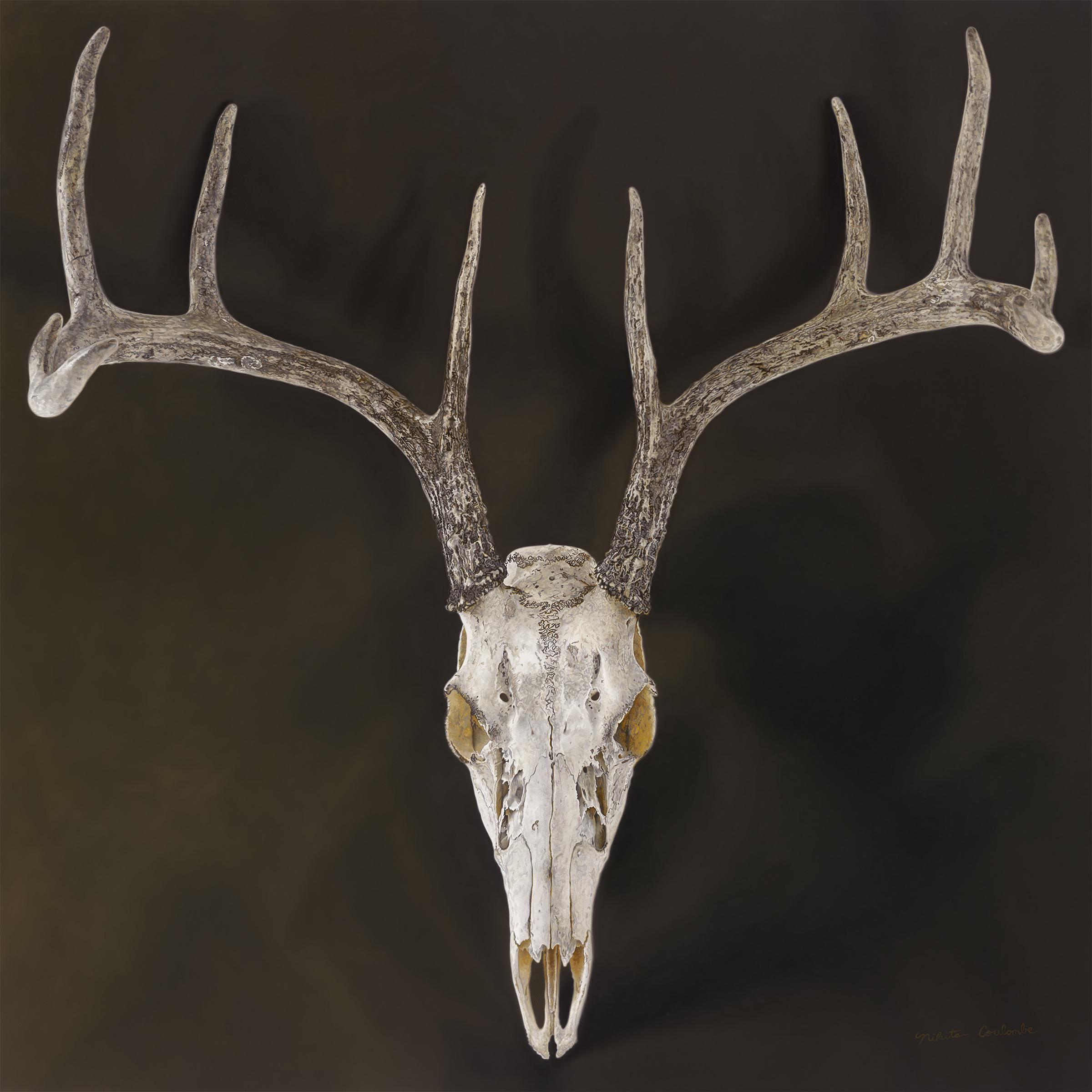 Deer Skull, Nikita Coulombe (me), oils, 2024 | Scrolller
