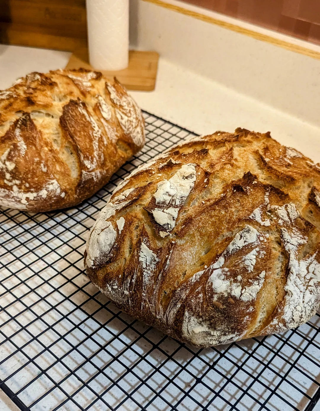 This is 3 years of practicing.. olive oregino dutch oven loaf... orgasmic | Scrolller