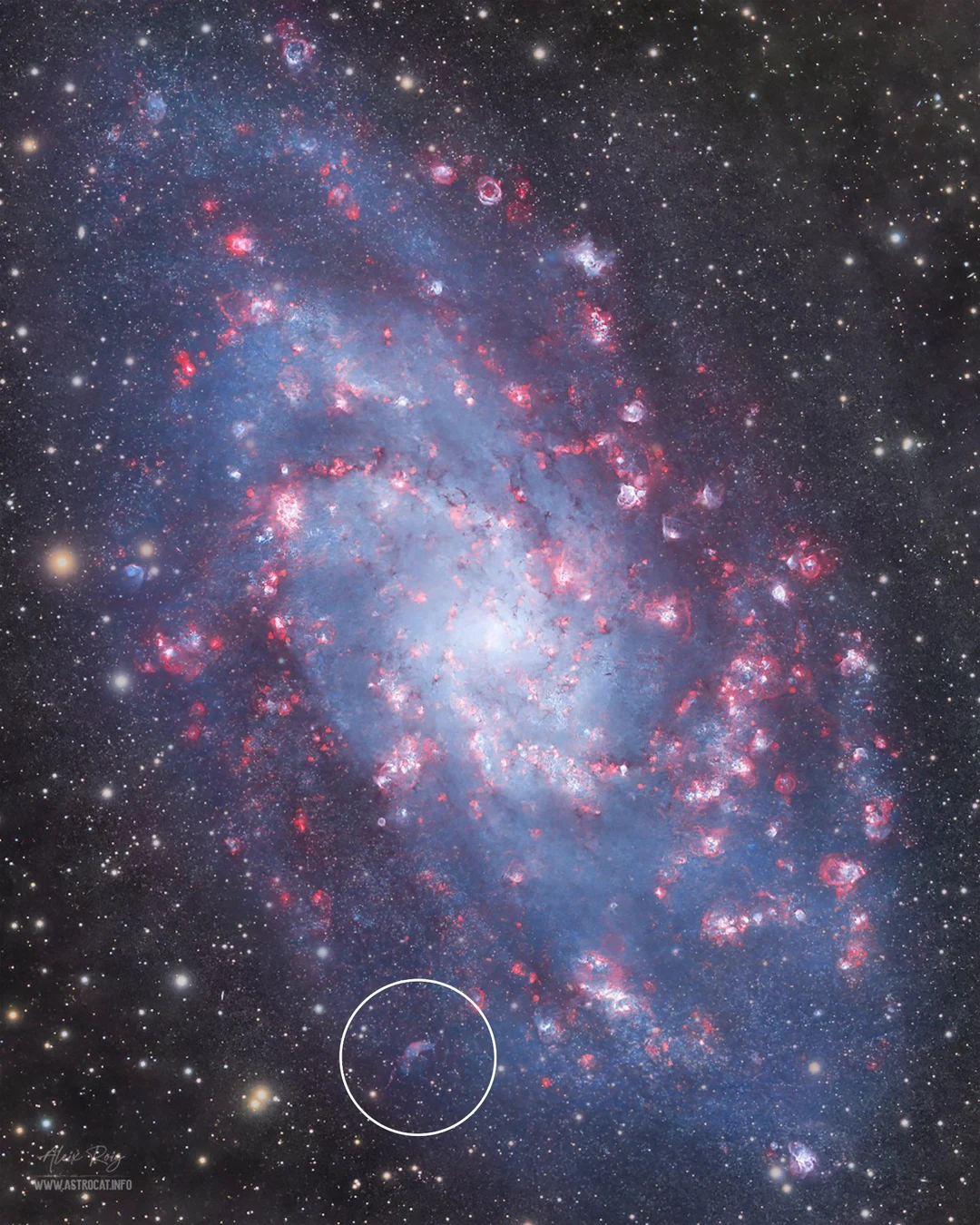 A newly discovered nebula in the Triangulum galaxy by Aleix Roig | Scrolller