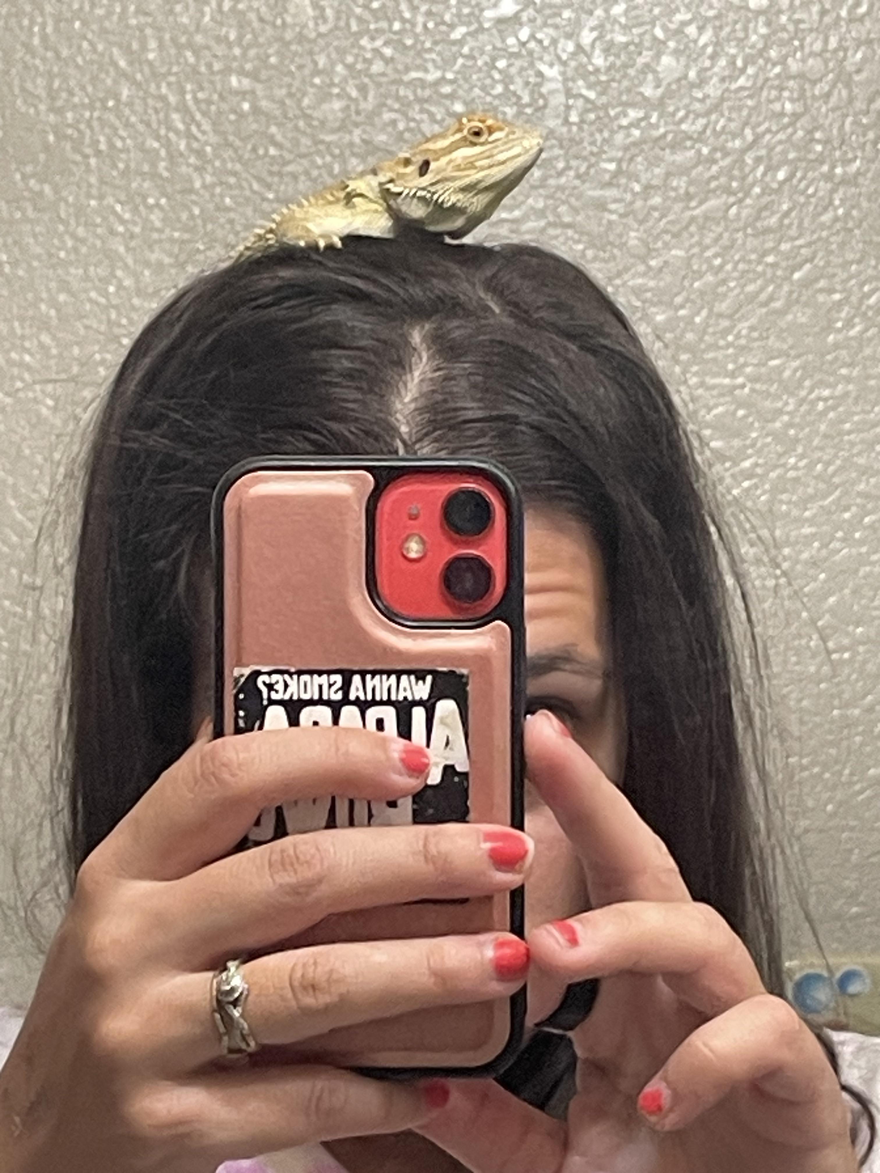 DELICATA SQUASH! PSA | Scrolller