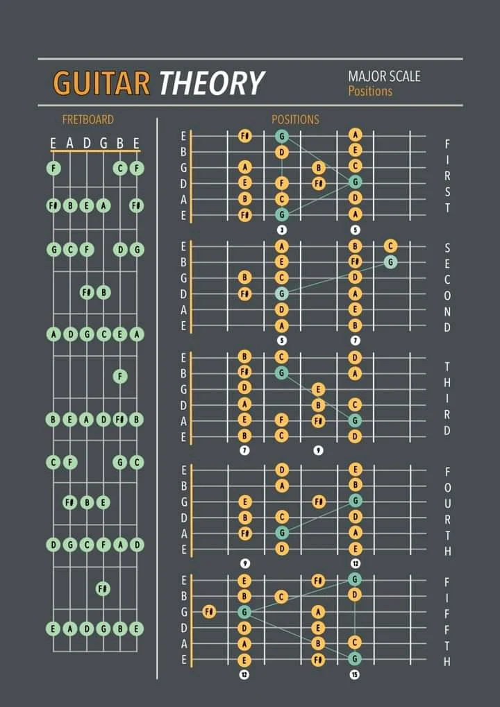 Fretboard positions. | Scrolller