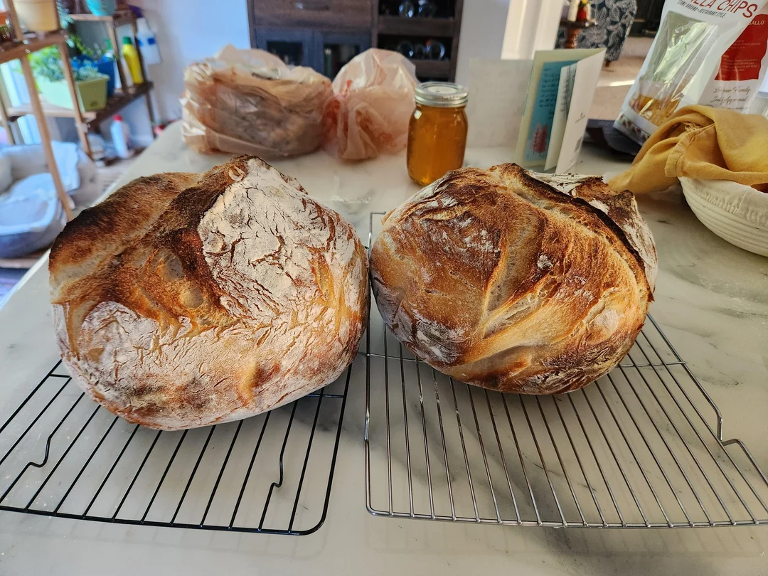 First loaves using FWSY | Scrolller