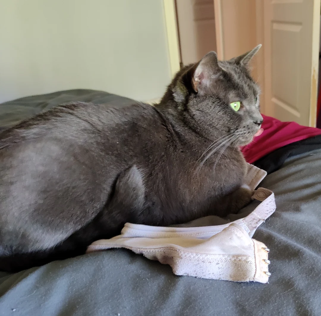 Booby trap successfully deployed! | Scrolller