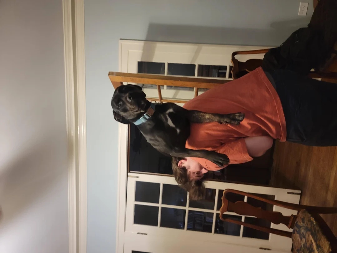 Luna really likes piggyback rides | Scrolller