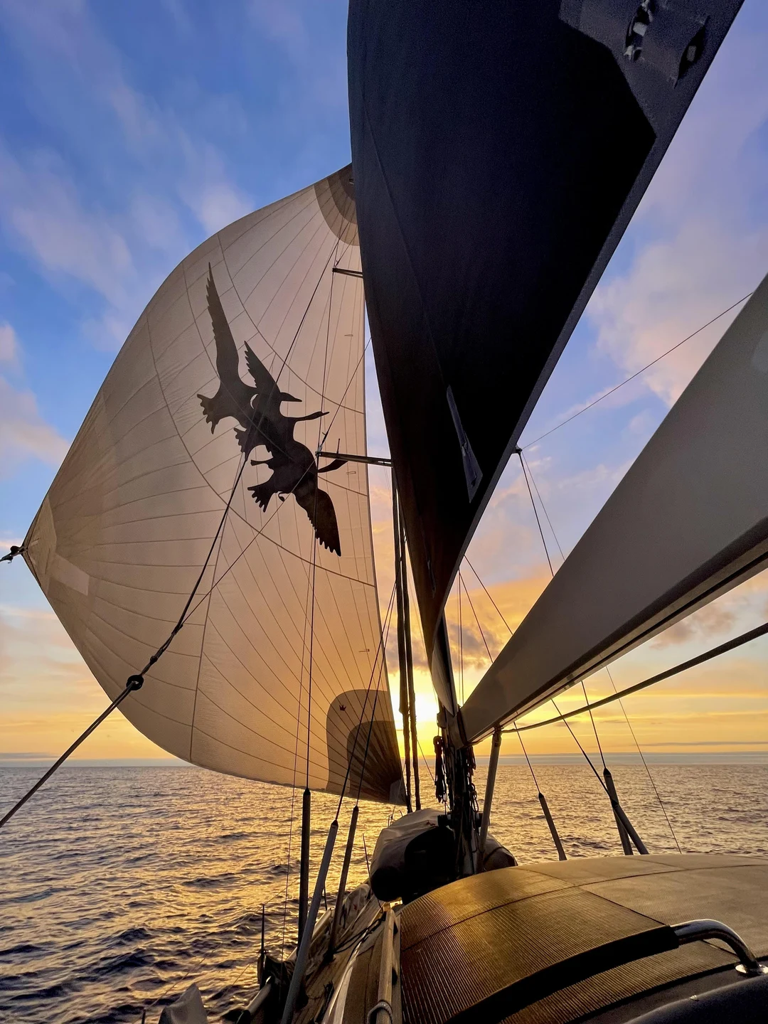 Hallberg Rassy sailing into the sunset | Scrolller