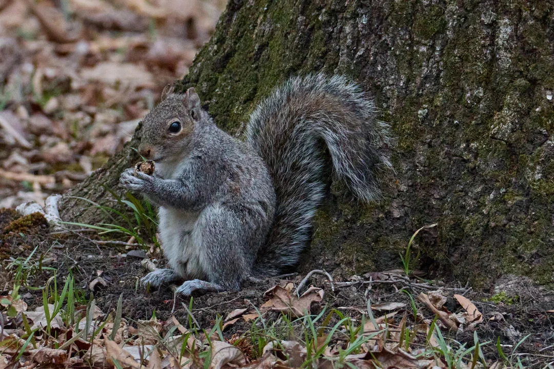 Cool customer | Scrolller