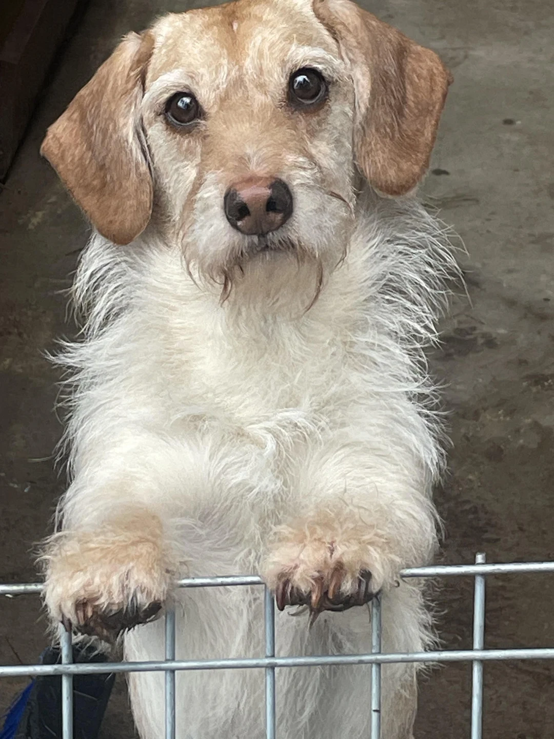 This is Simon, AKA ManMan | Scrolller