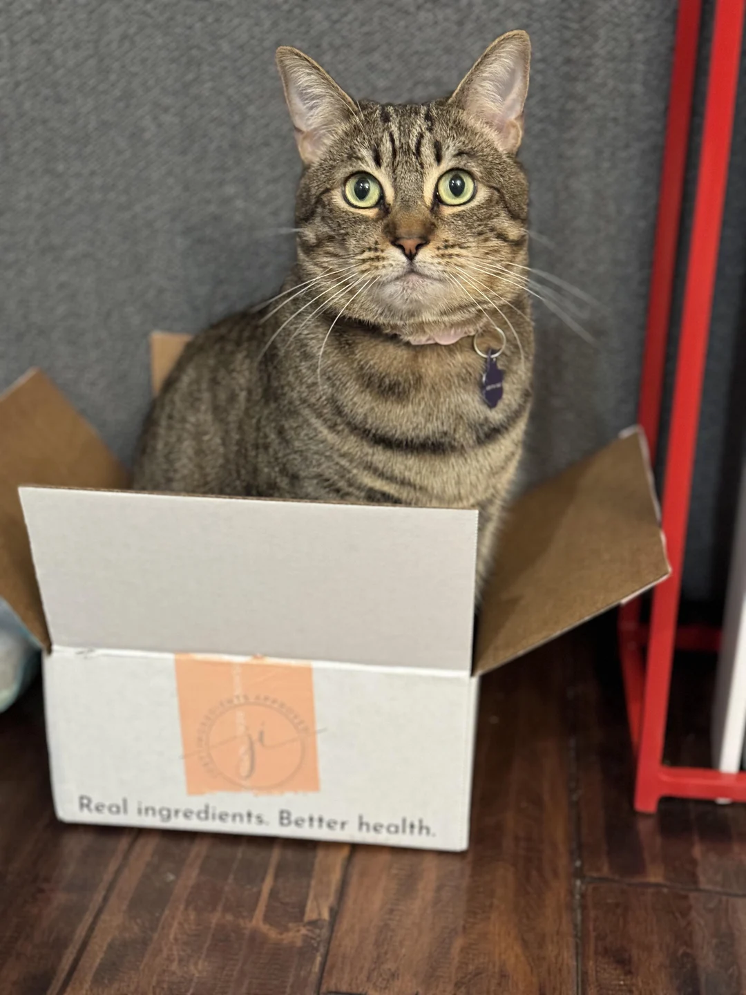 Ambush in a box | Scrolller