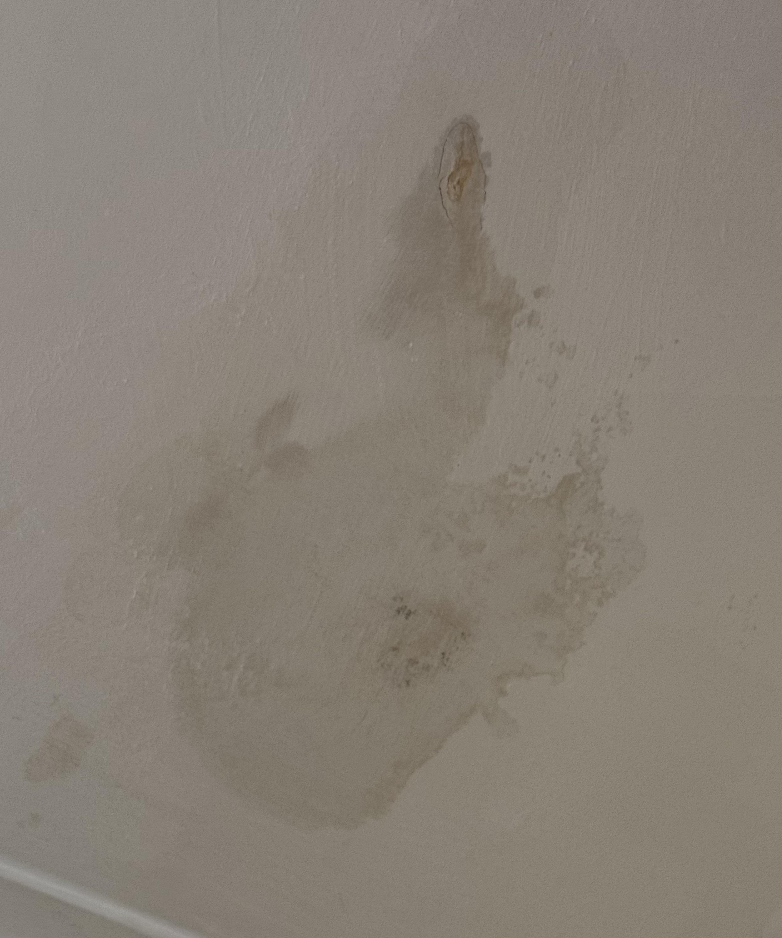 Water damage | Scrolller