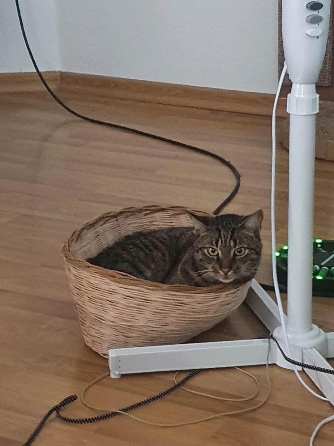 I made this trap for my boys and its definitely working! | Scrolller