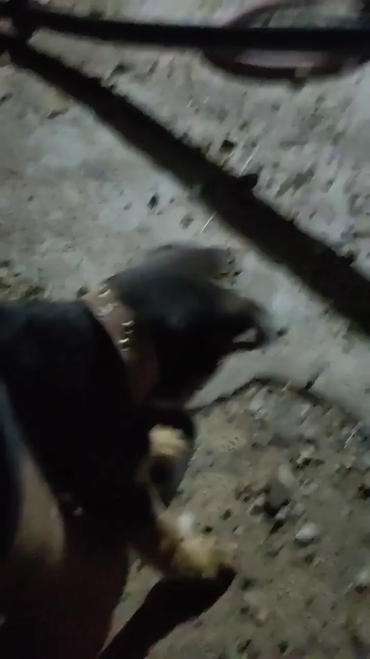 Bye 😔 | Scrolller