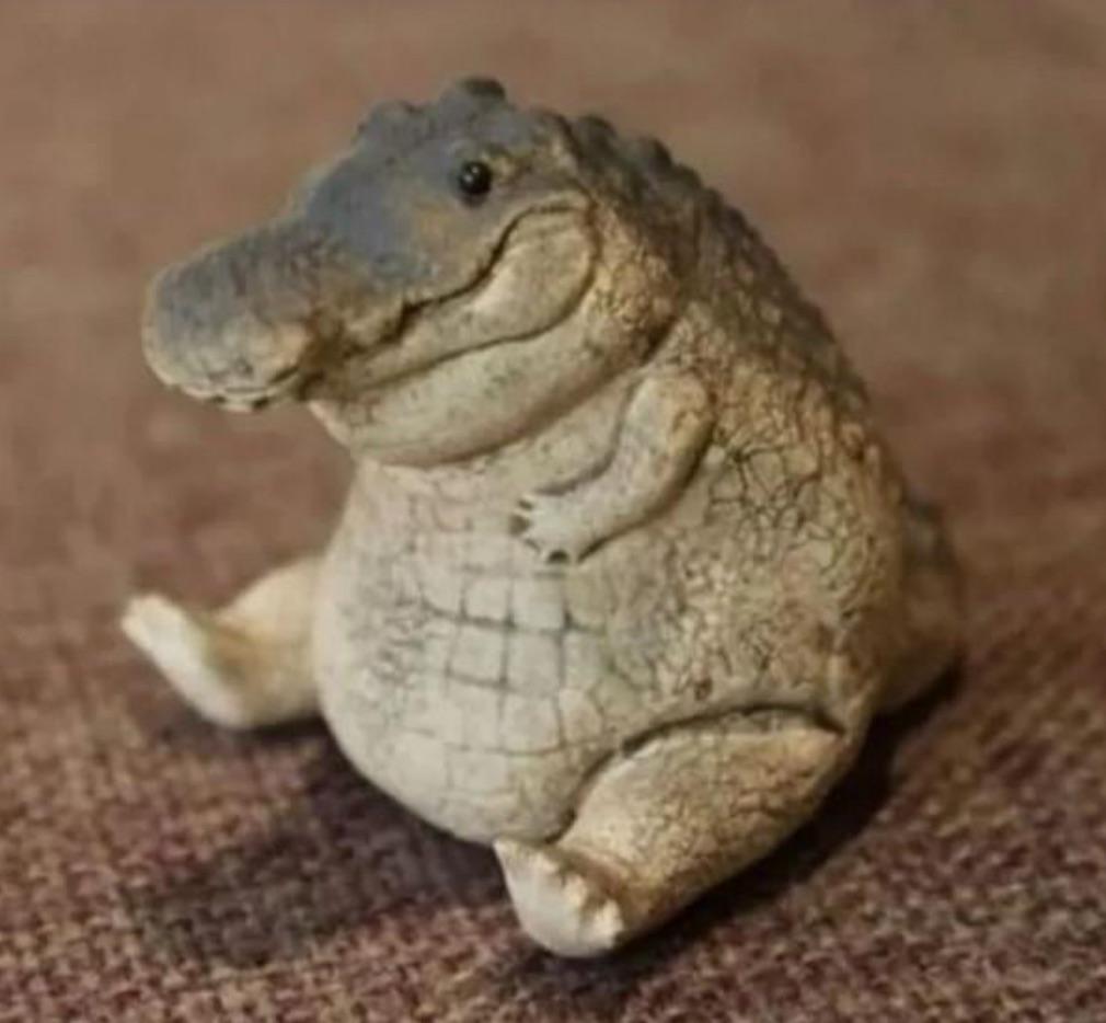 Alligator | Scrolller