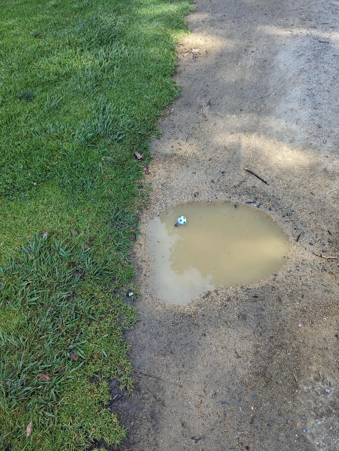 What's the ruling? | Scrolller