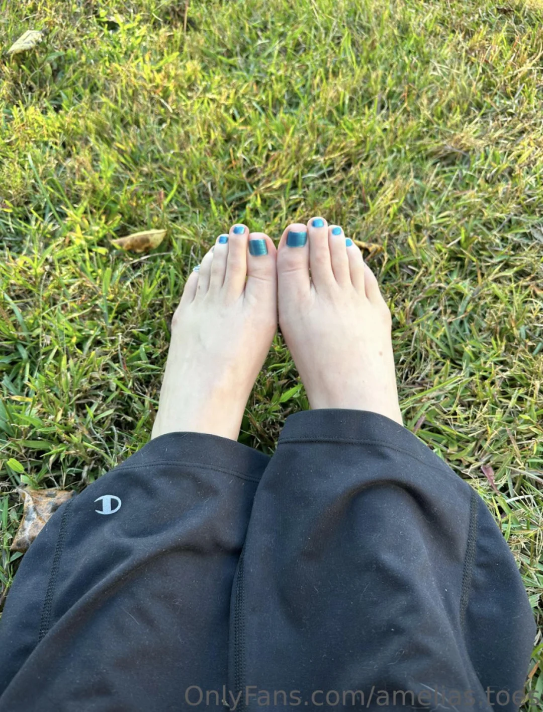 Fall weather is so nice for a walk in the grass | Scrolller