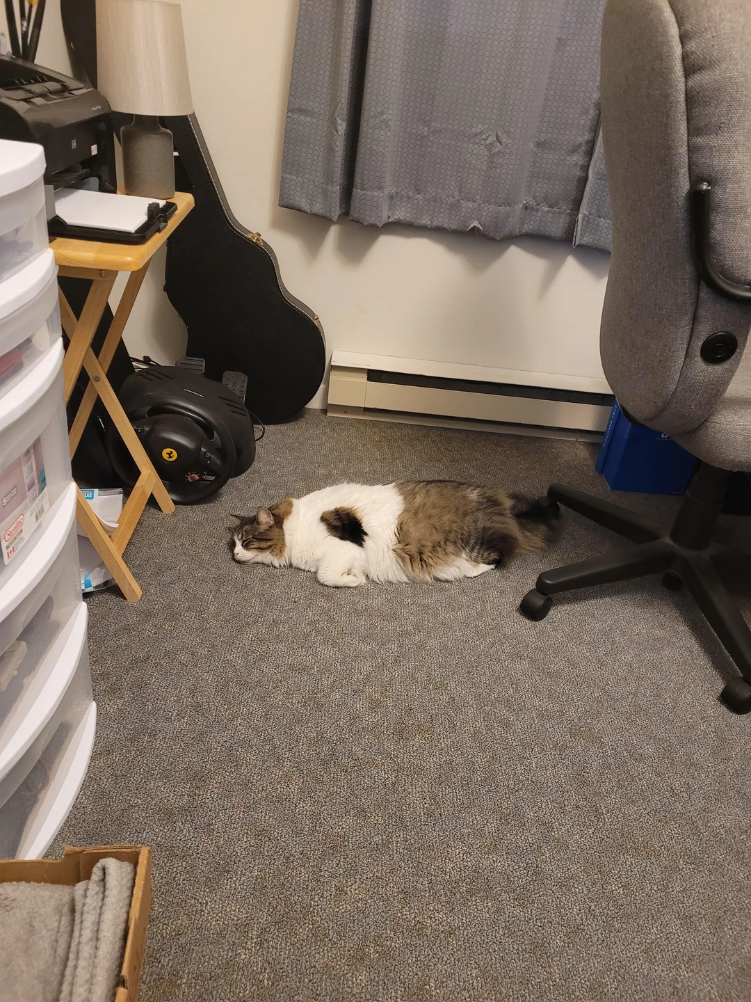 Sleepy Loaf | Scrolller