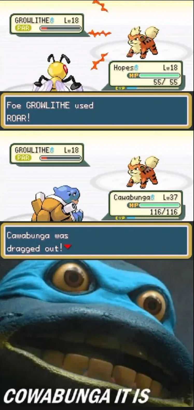 pokemon blastoise Cowabunga | Scrolller