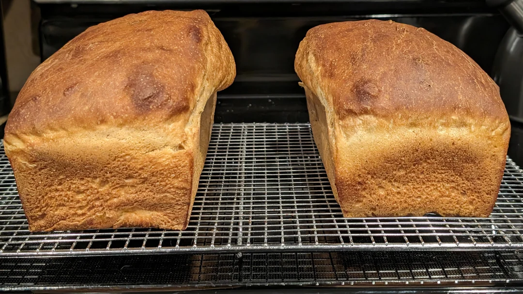 I had the loaf pans a little too close together in the oven. | Scrolller