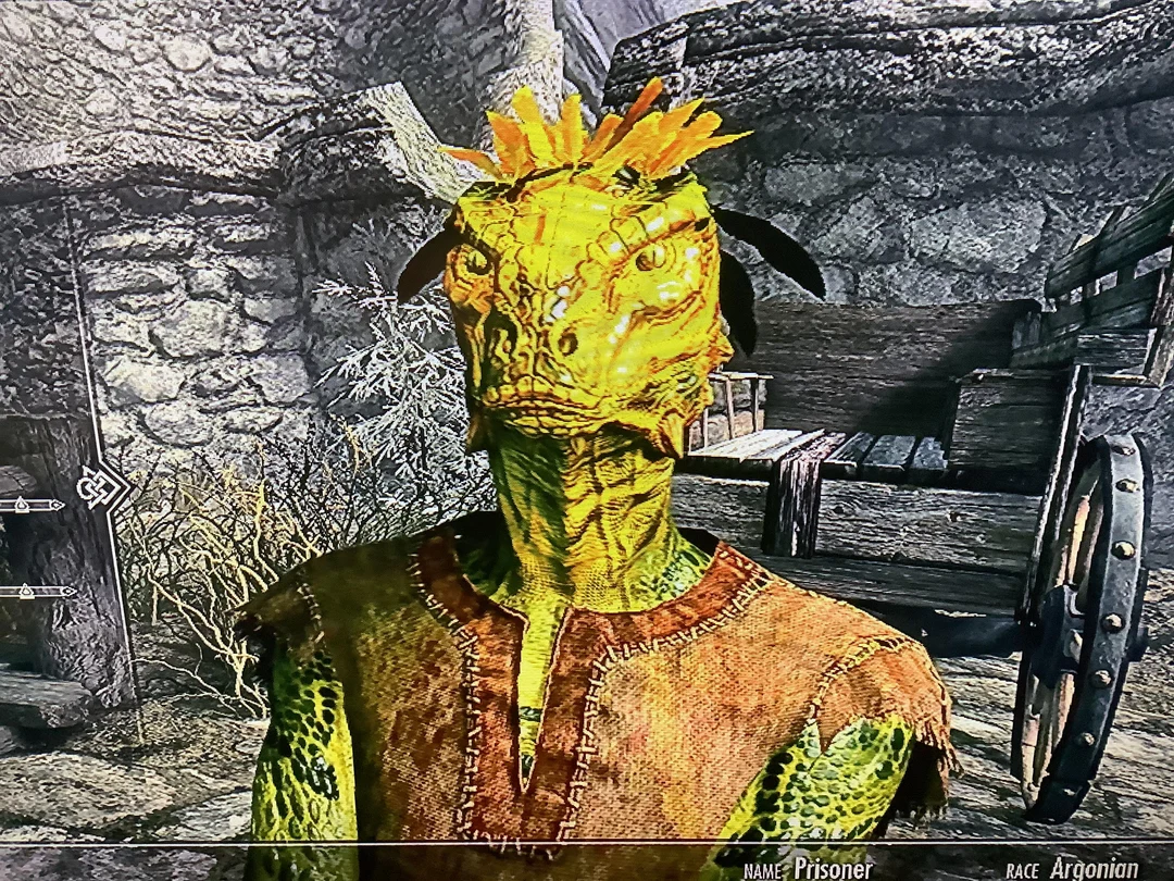 Introducing my new argonian “I am a banana with scales”. Isn’t he beautiful? | Scrolller