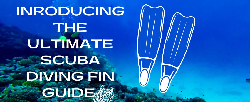choosing the right scuba diving fins is an important decision that should not be taken lightly ...